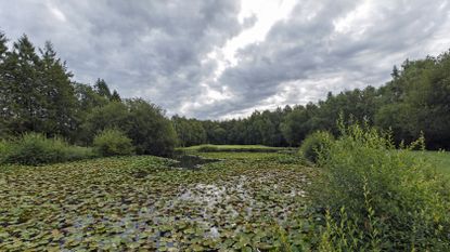 Paultons Golf Centre Course Review | Golf Monthly