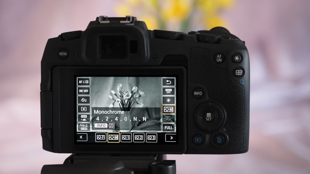 How to get started with black and white photography with a Canon camera ...