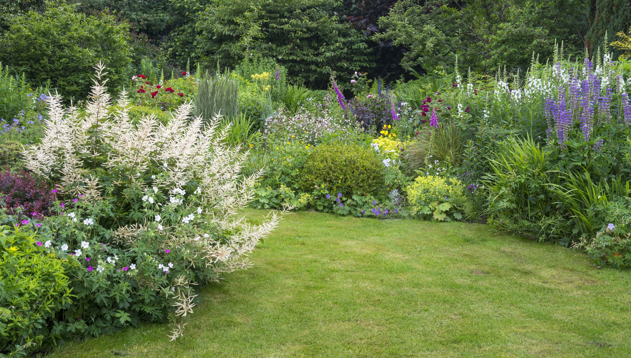 How to Prevent Weeds Taking Over Your Lawn | Livingetc