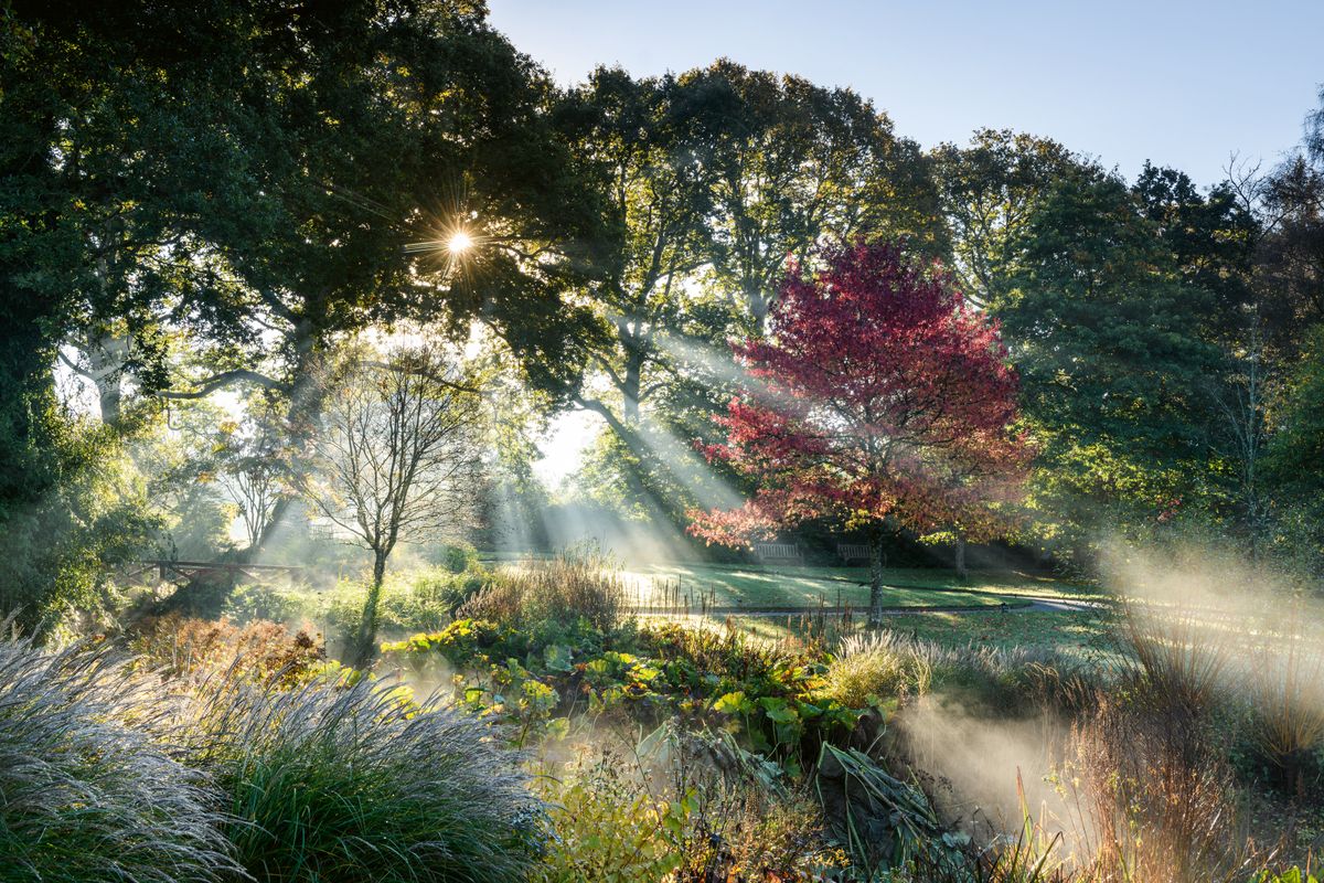 New book reveals how to capture perfect garden photographs just in time ...