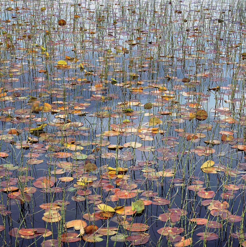 Go Behind the Photograph with Charlie Waite: exclusive book extract and ...