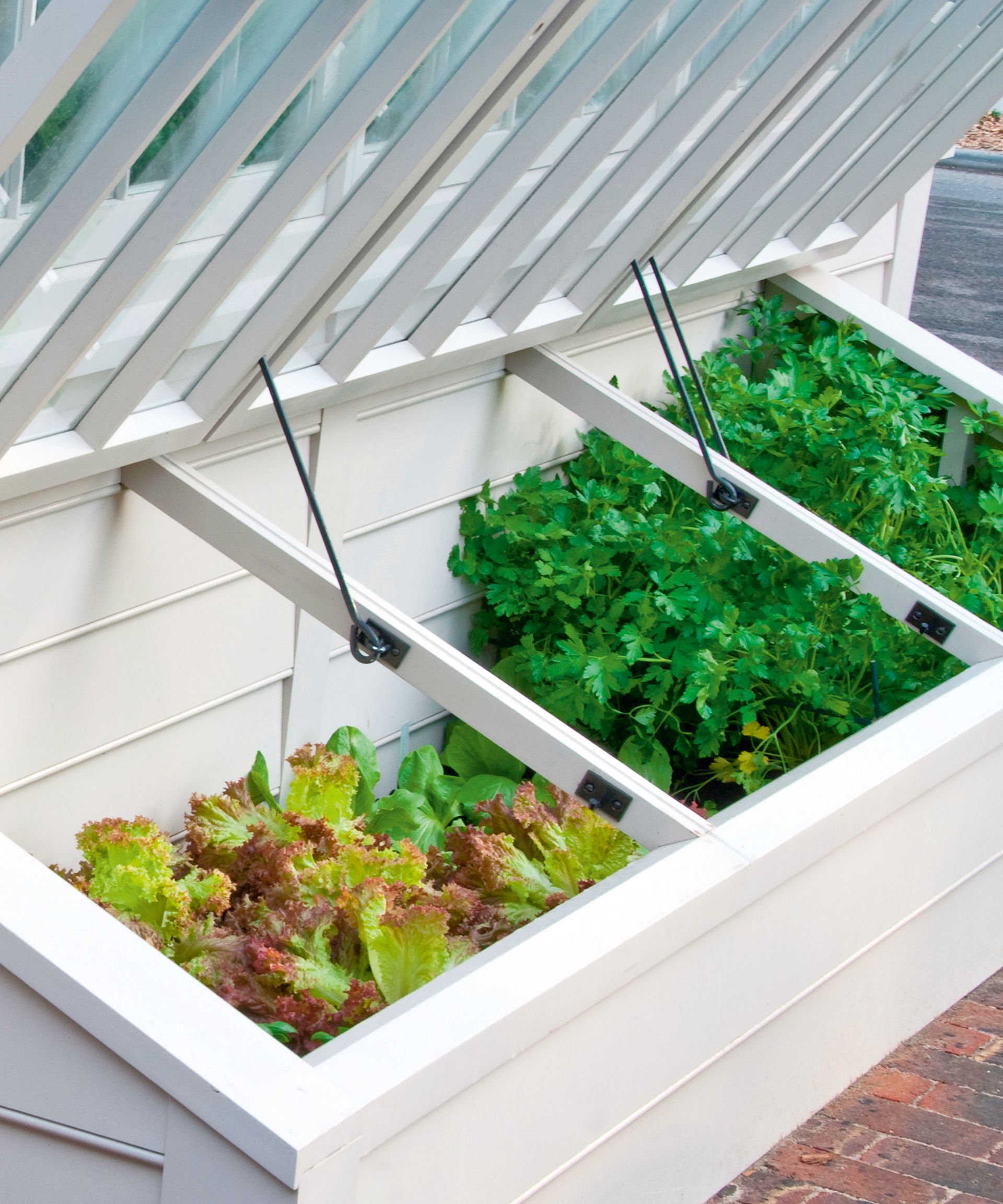 12 Vegetable Garden Ideas To Enhance Your Growing Space | Gardening ...
