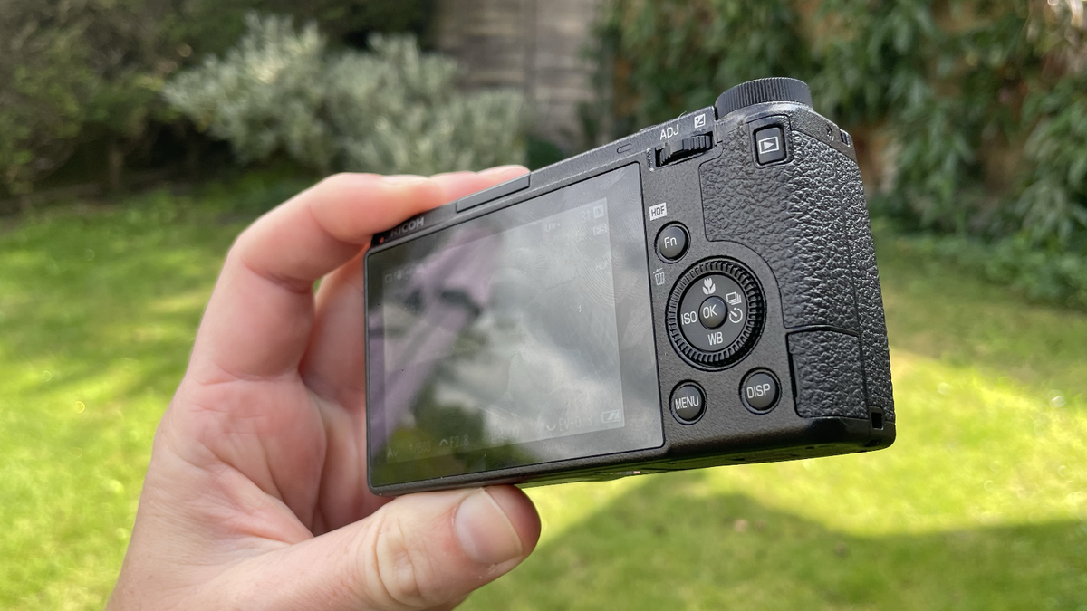Ricoh GR IIIx HDF review: a street shooter with a dreamy diffusion ...