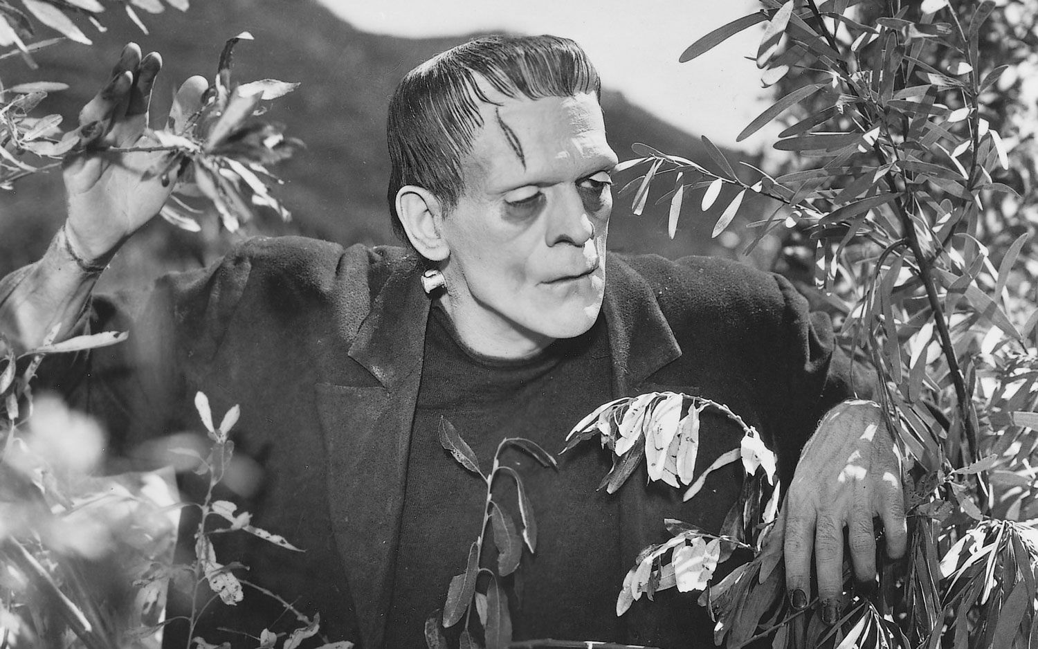 Could Beasts Like Frankenstein's Monster Exist in Real Life? | Live Science