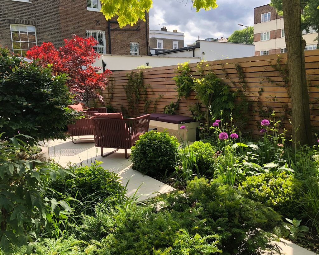 Garden color schemes: how to choose a garden color scheme | Country