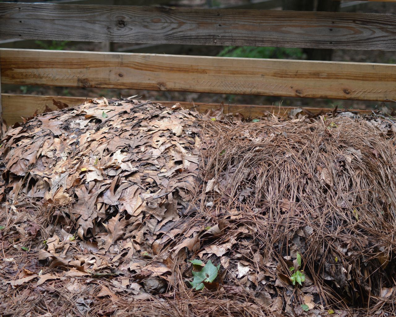 Compost Greens And Browns: How To Get The Best Materials Mix ...