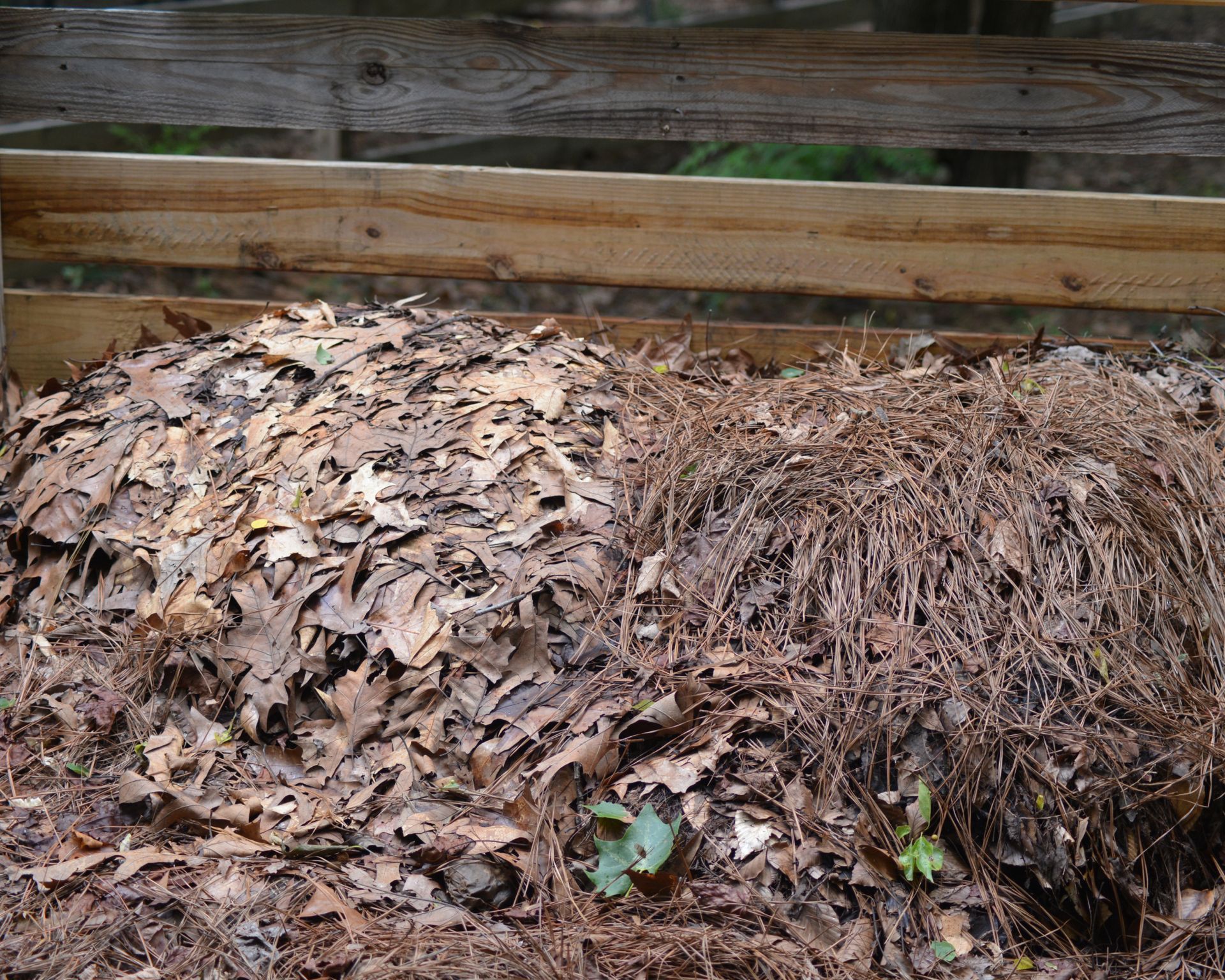 Compost Greens And Browns: How To Get The Best Materials Mix ...