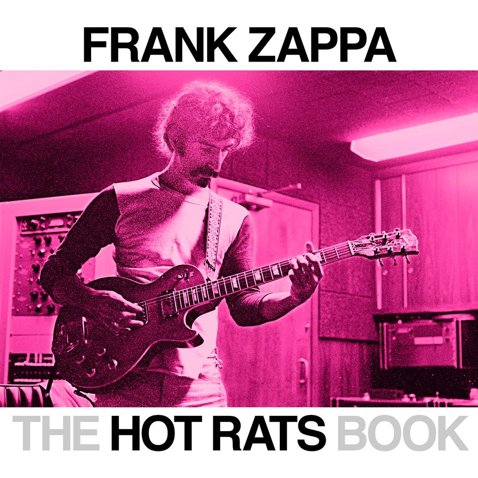 Get a comprehensive look at Frank Zappa's guitars, amps, effects and ...