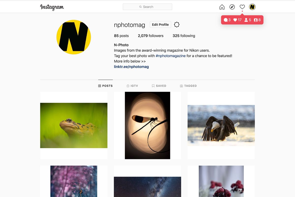 How to get started with a photography account on Instagram | Digital ...