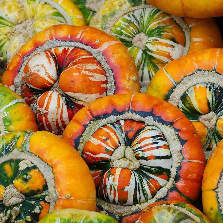 The best drought tolerant vegetables to grow at home | Ideal Home