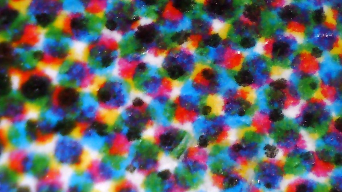 Bresser Biolux NV 20-1280x microscope review | Digital Camera World