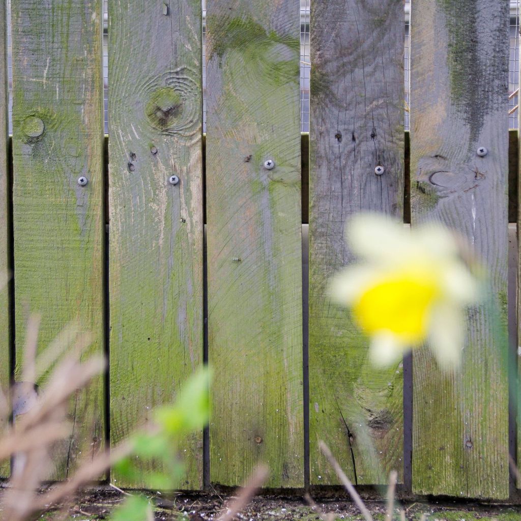 8 fence painting mistakes that will lead to a streaky finish | Ideal Home