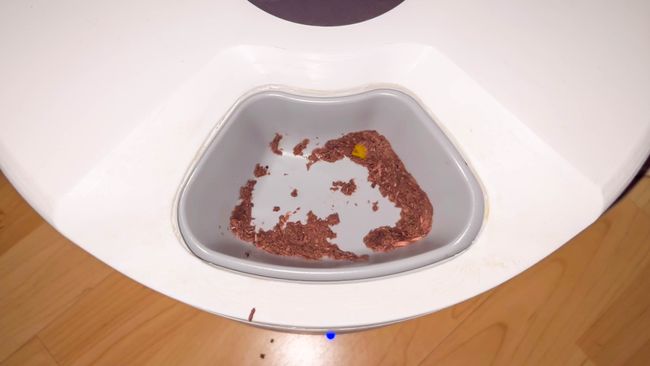 This Smart Wet Food Dispenser Keeps My Cats Dinner Chilled And Me Too Techradar