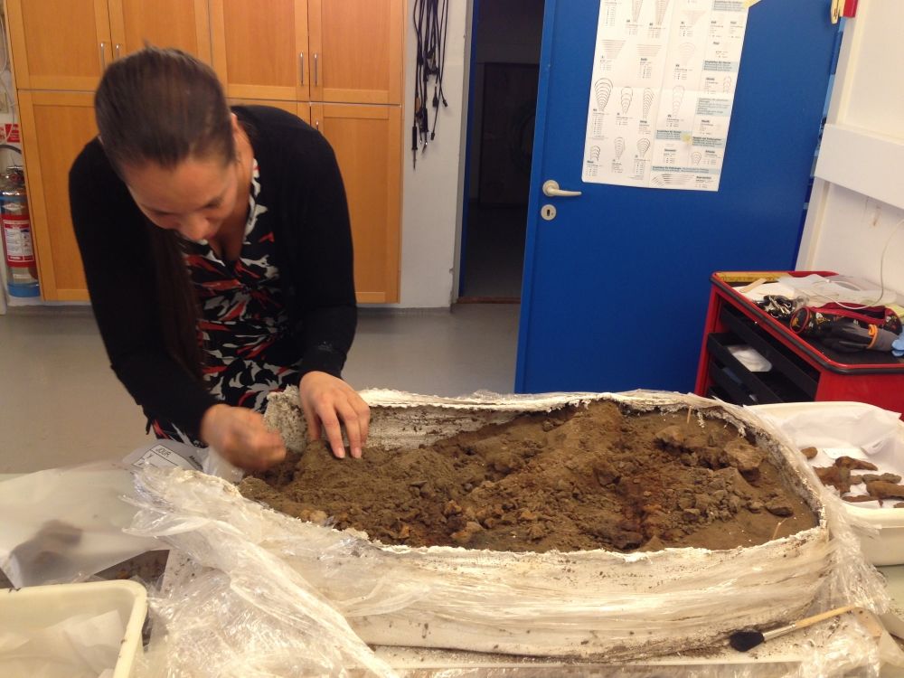 Photos: Viking-Age Tools Uncovered at Ring-Shaped Fortress in Denmark ...