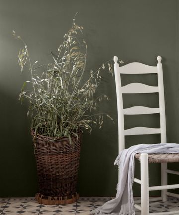 What are the best olive green paint colors? | Homes and Gardens
