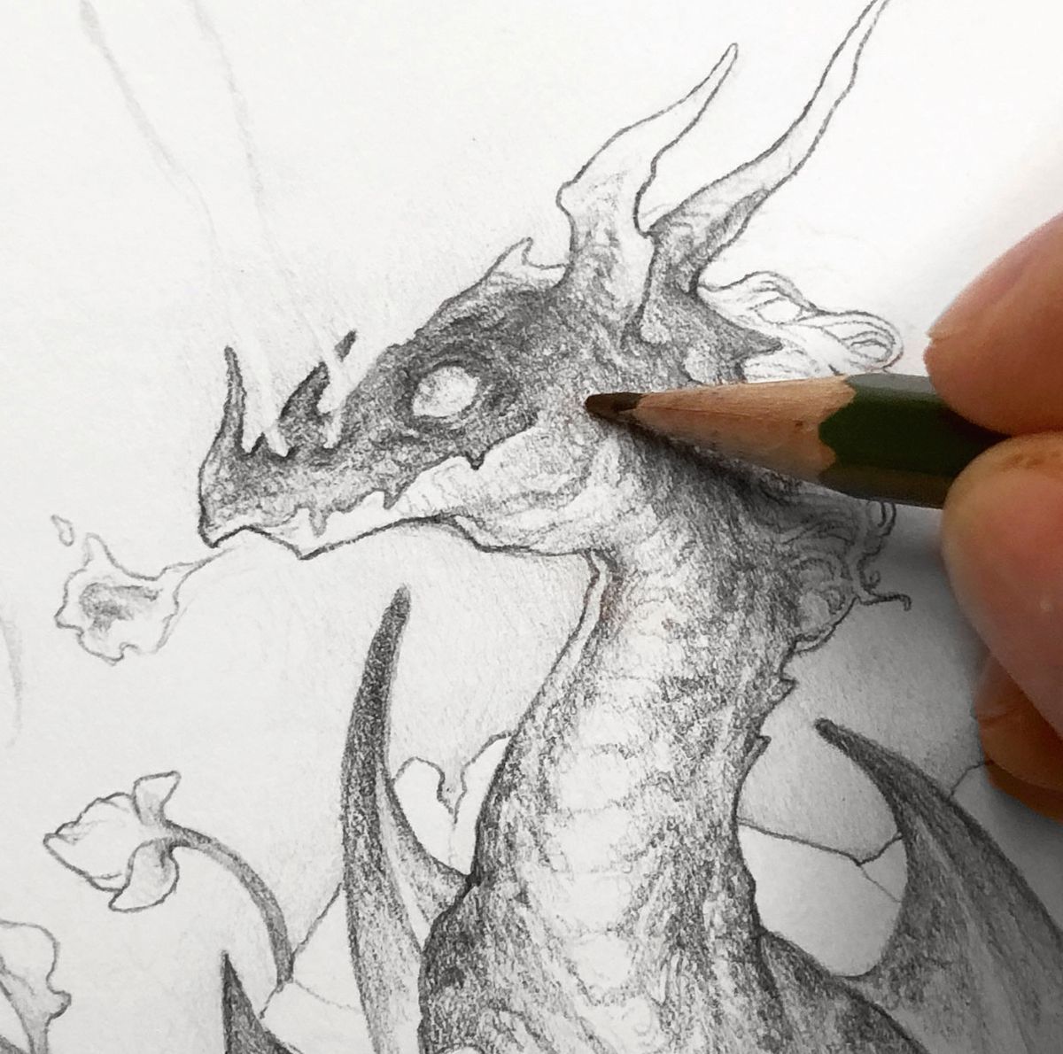 Contrast Drawings That Are Easy to Trace - Anderson Wilvear