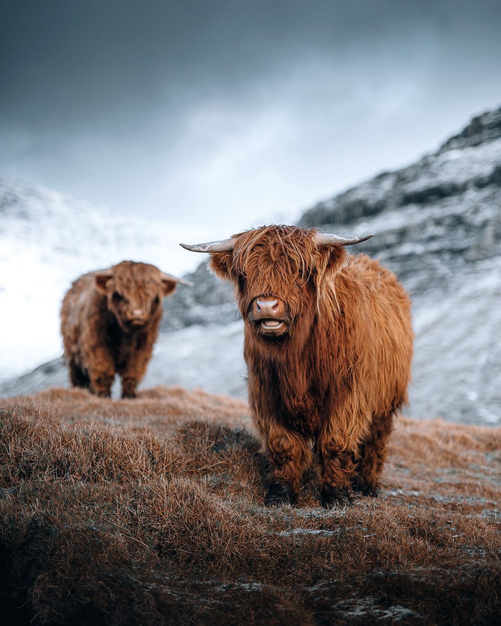 Travel photographer Luke Stackpoole captures the Faroe Islands in their ...