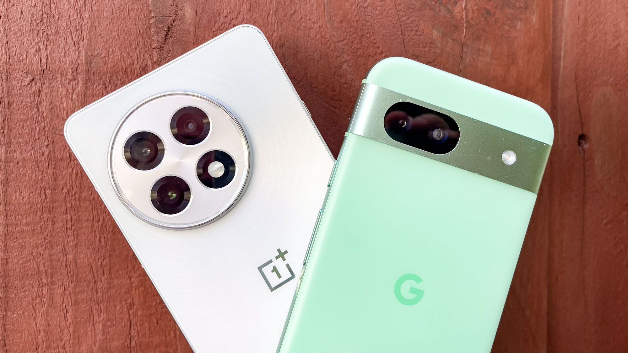 I shot 200 photos with the OnePlus 13R and Google Pixel 8a — here's the ...