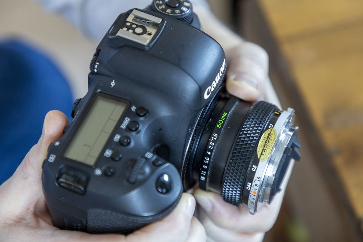 Shoot incredible close-ups with a budget of just 10 bucks! | Digital ...