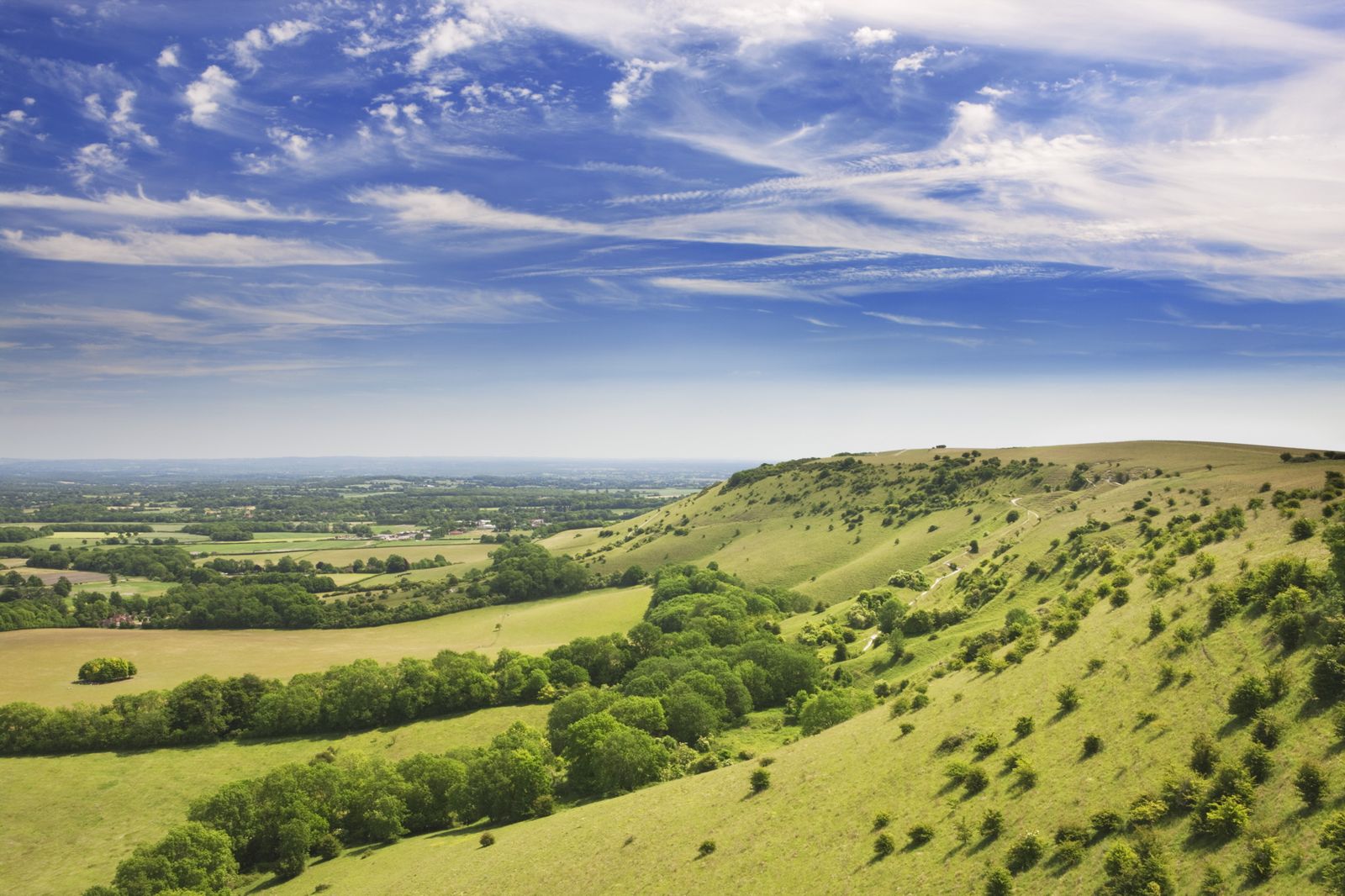 John Lewis-Stempel: The moors, a landscape of 'seamless sameness ...