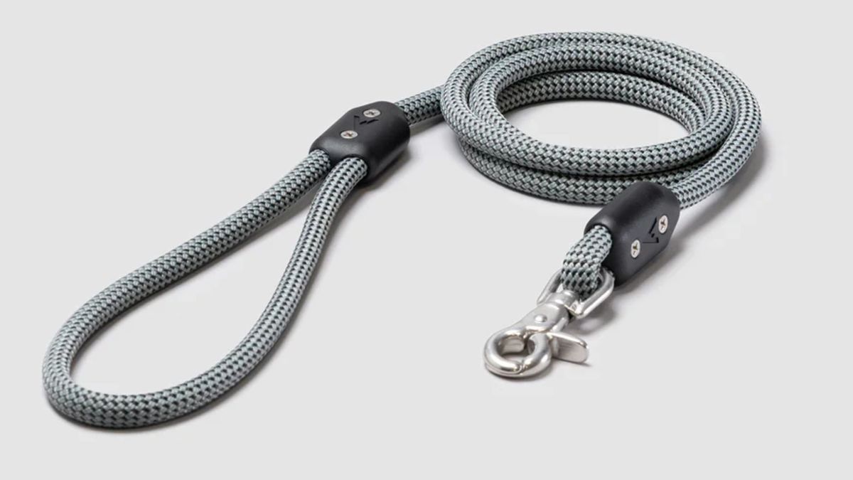 Best dog leashes: Keep your pooch safe and under control | PetsRadar
