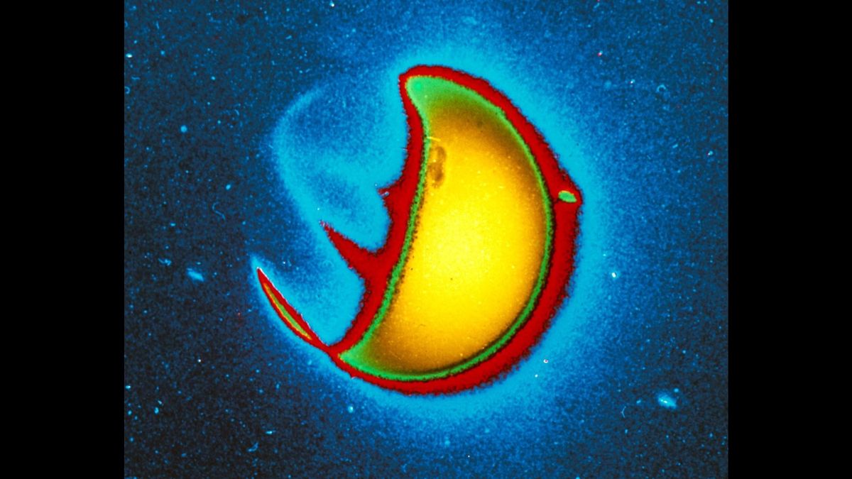 NASA renames space observatory in honor of moon telescope visionary ...