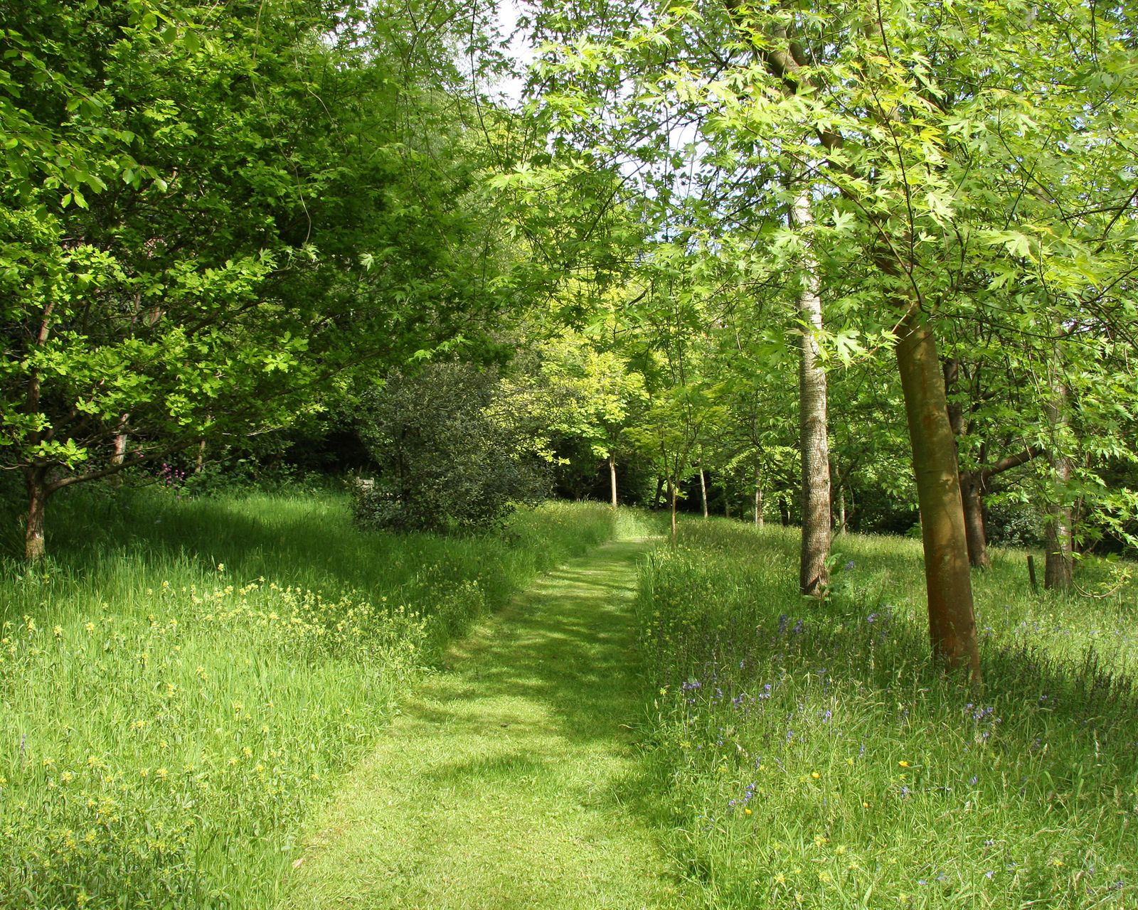 Low maintenance landscaping: 14 ways to create a plot that needs ...