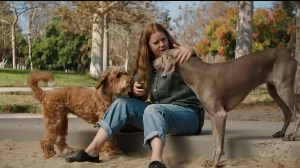 Amy Adams Delivers A Great Performance, But Nightbitch Is Missing The ...