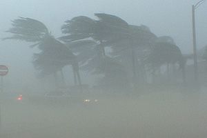 Name That Hurricane: Famous Examples of the 5 Hurricane Categories ...
