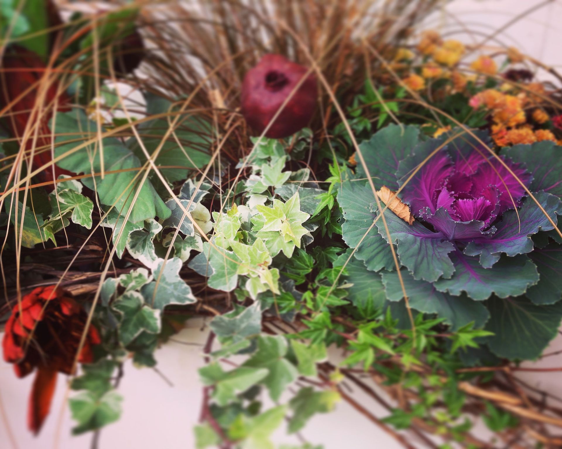 Fall window box ideas: 10 stylish looks for autumn | Gardeningetc