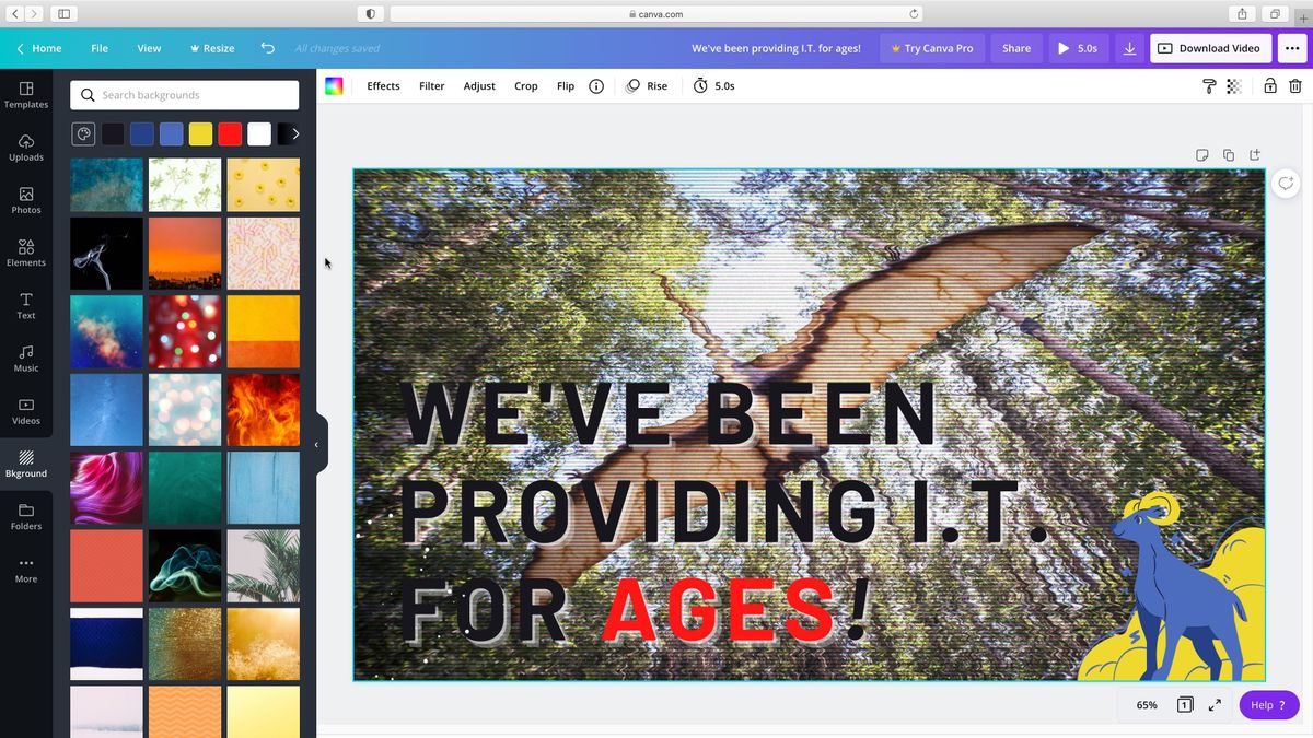 Canva Video review | TechRadar