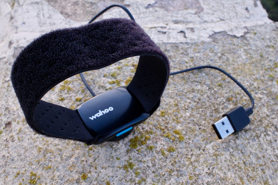 Wahoo TICKR FIT armband review: Great for riders who don't like chest ...