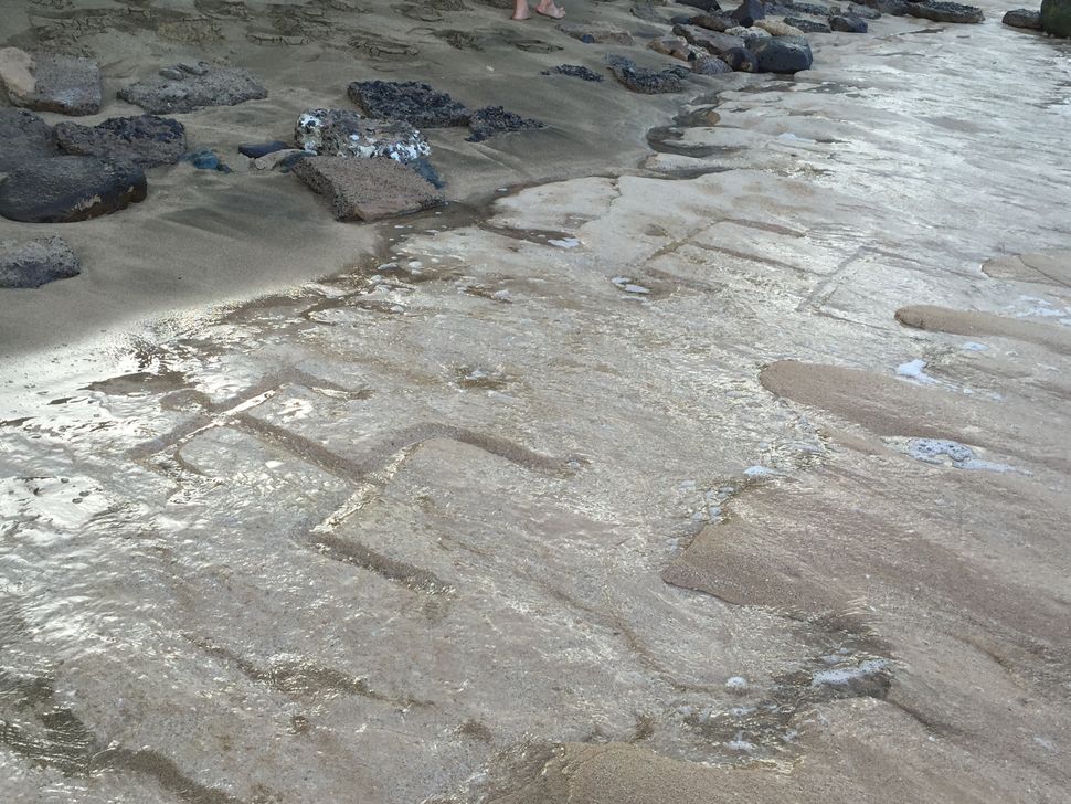 In Photos: Petroglyphs Discovered in Hawaii | Live Science