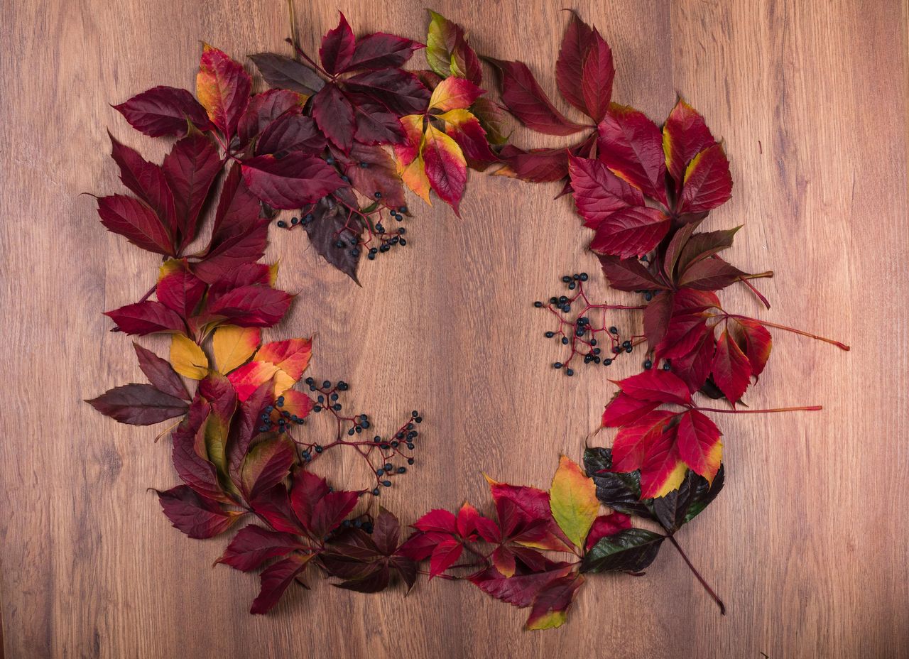 8 easy ways to put autumn leaves to good use in your garden | Gardeningetc