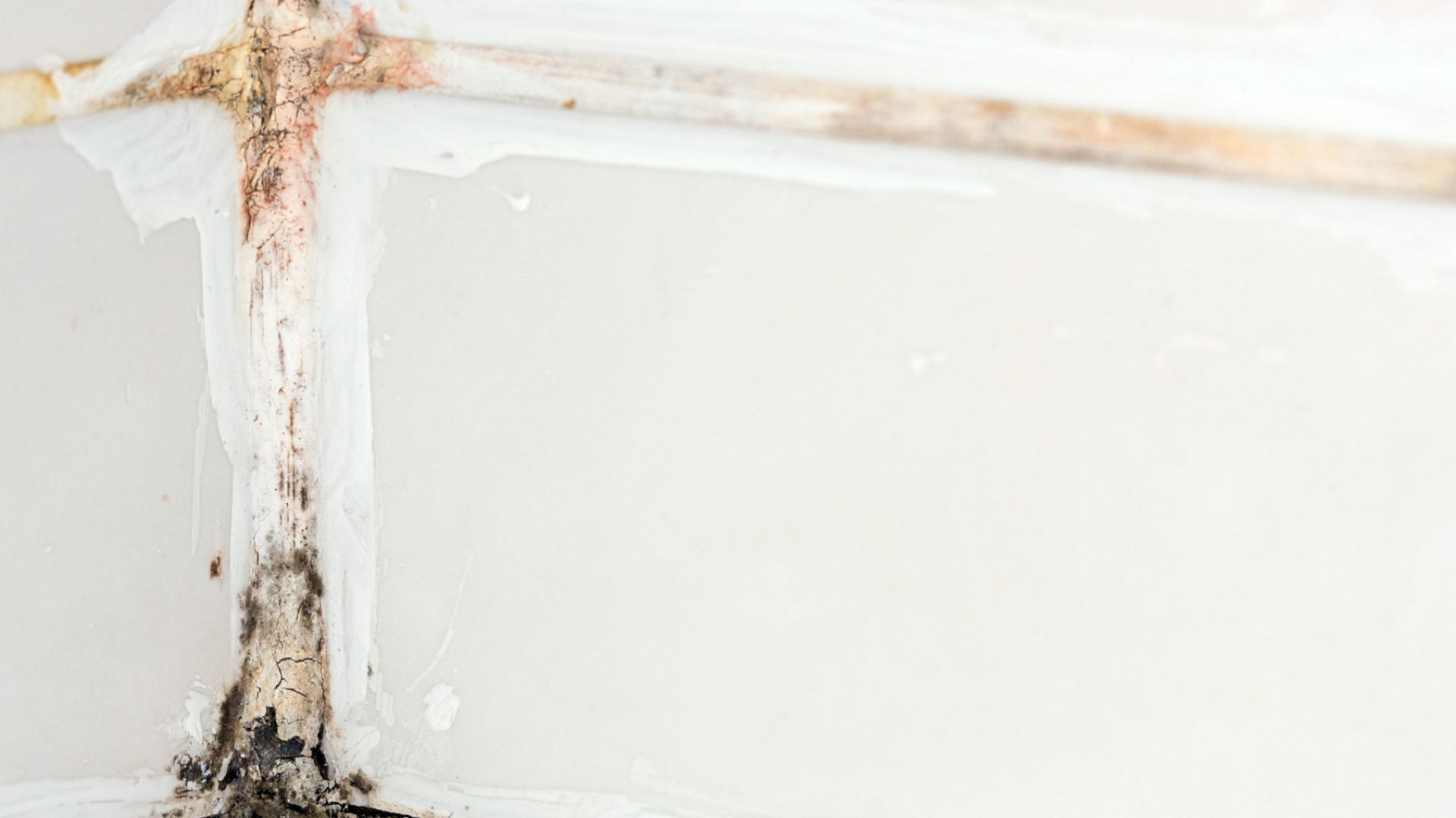 What is pink mould in the bathroom? Home experts reveal all | Woman & Home