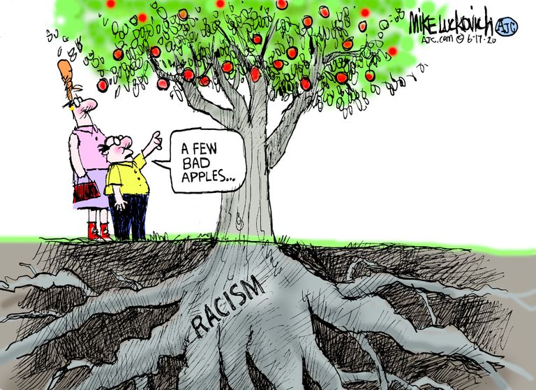 Editorial Cartoon U.S. racism roots bad apples | The Week
