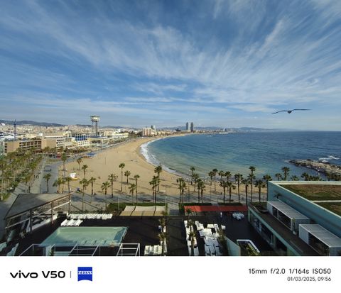 Vivo V50 review: Zeiss camera phone without the flagship price ...