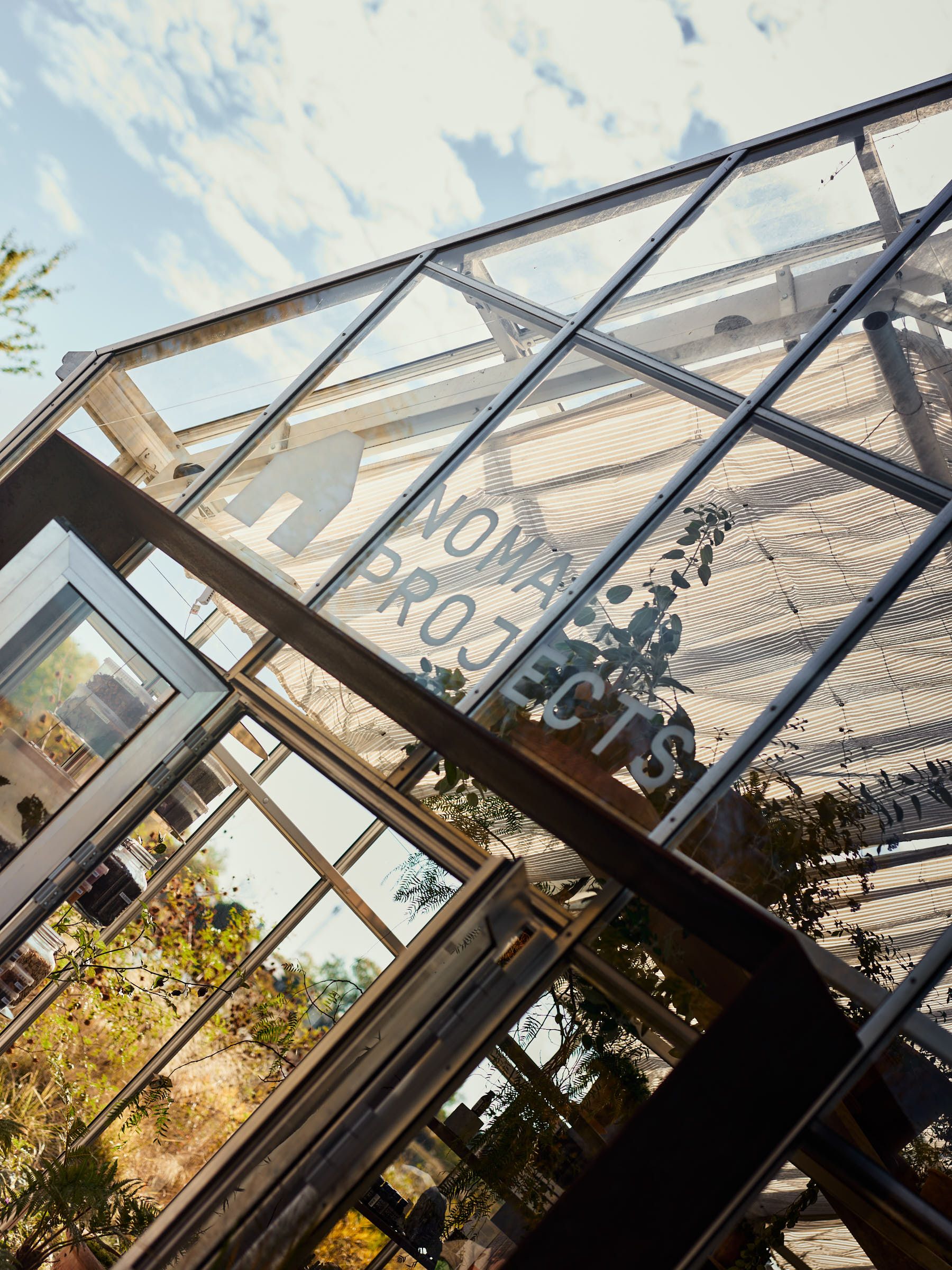 Inside Copenhagen's Noma café: Noma Projects Flavor Shop | Wallpaper*