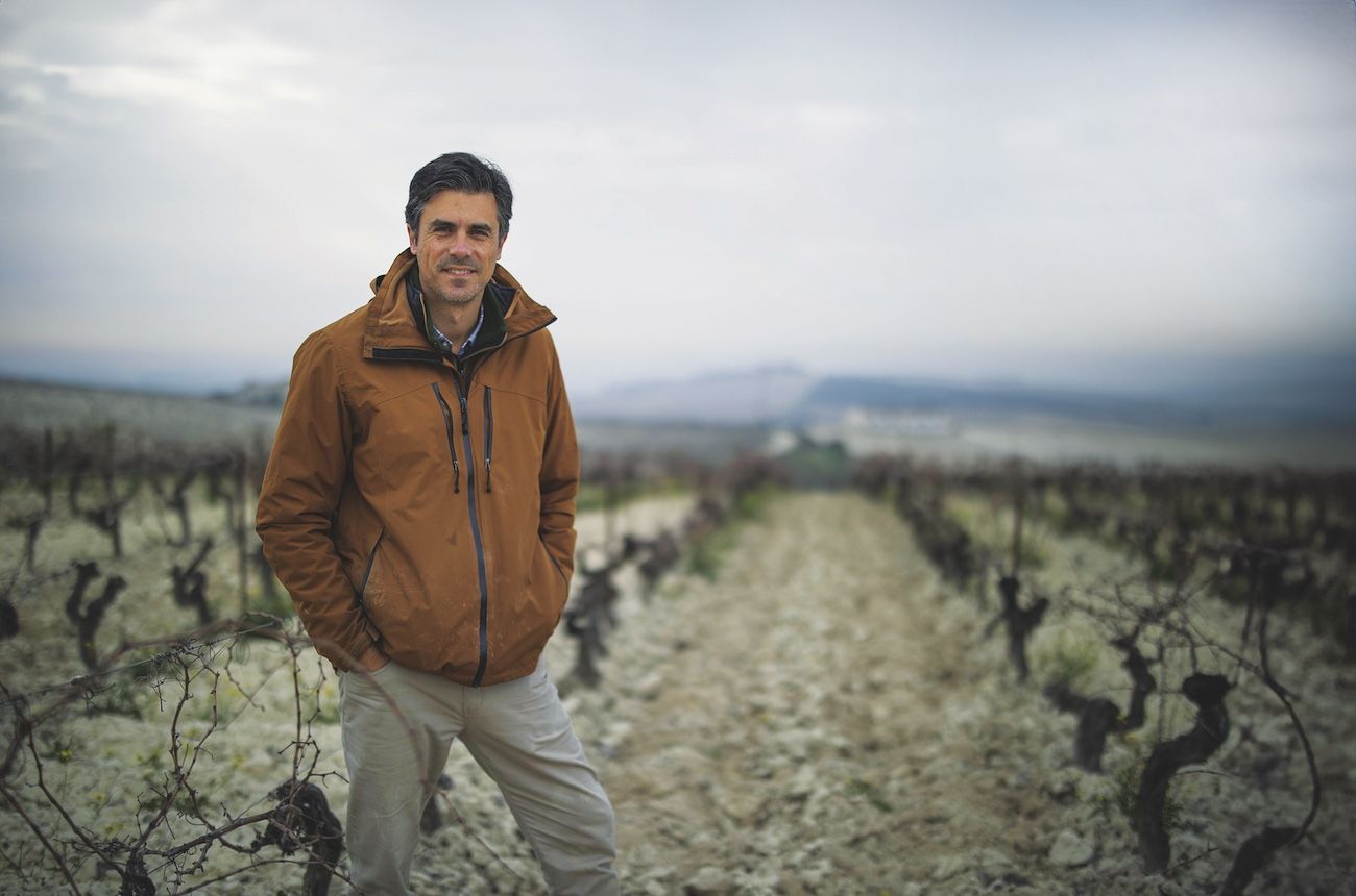 No DO – The Spanish wines pushing the boundaries of tradition | Decanter