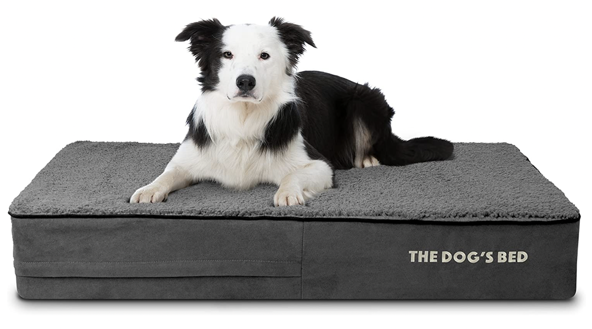 Best luxury dog beds: Cozy cribs for every age and stage | PetsRadar