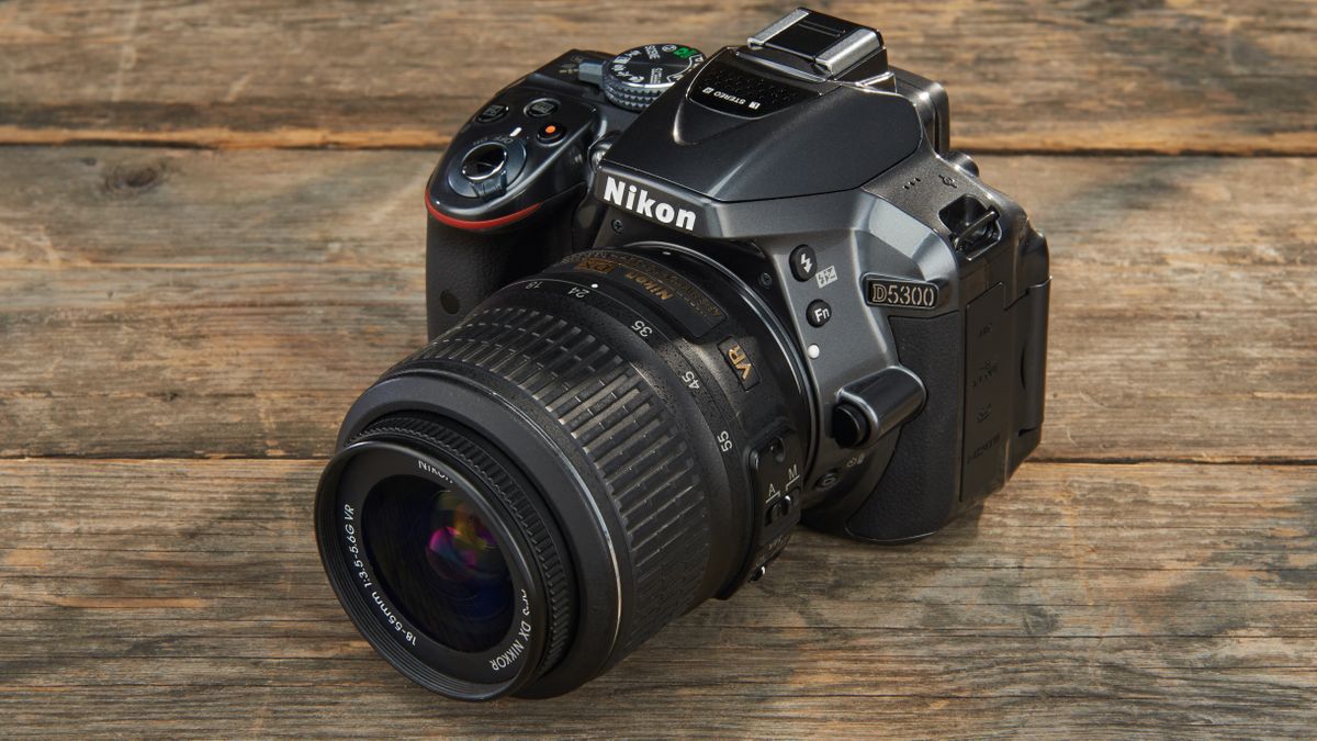 The best budget DSLRs in 2023 | Digital Camera World