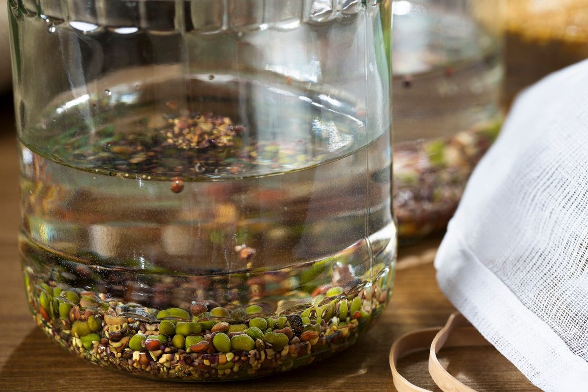 Why Soak Seeds In Hot Water – Learn About Hot Water Treatment Of Seeds | Gardening Know How