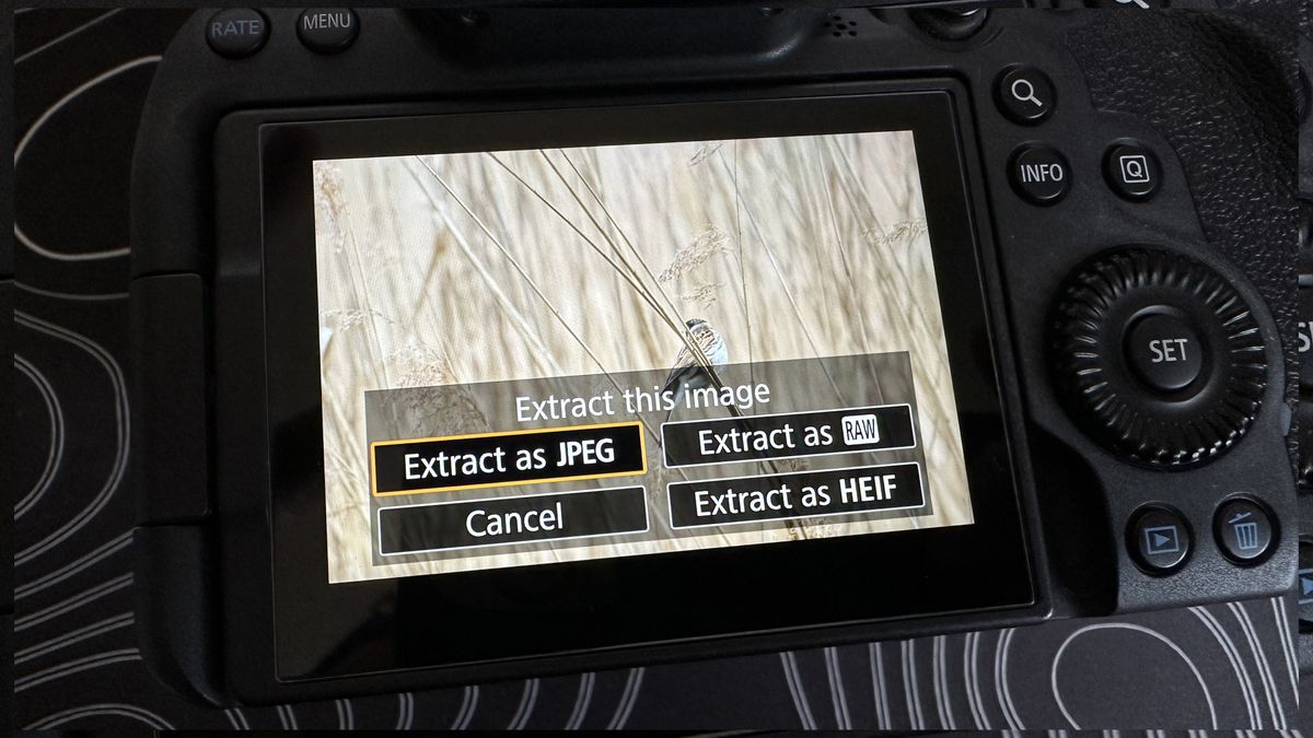Pre-capture on my Canon EOS R6 Mark II camera is brilliant, but the ...