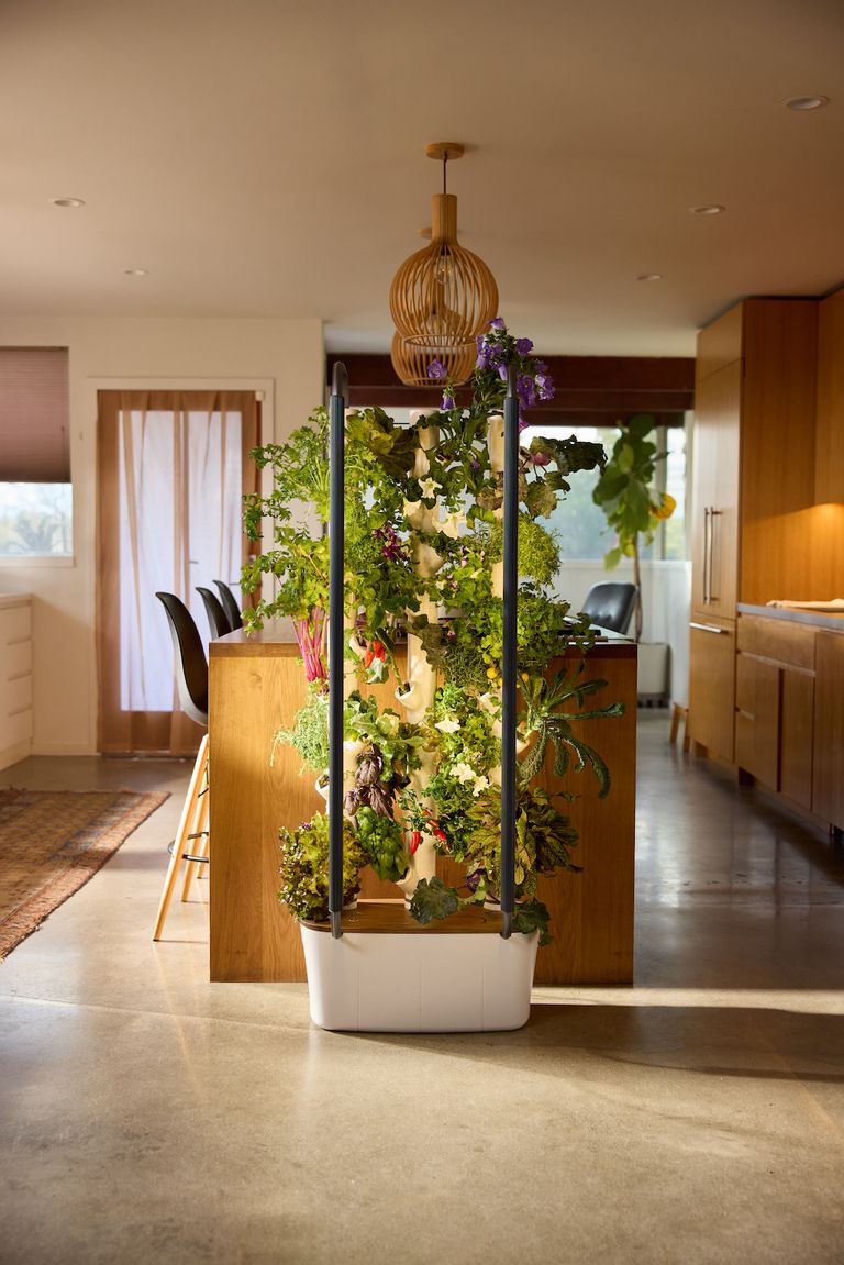 5 Indoor Plant Growing Systems to Help Your Crops Thrive | Livingetc