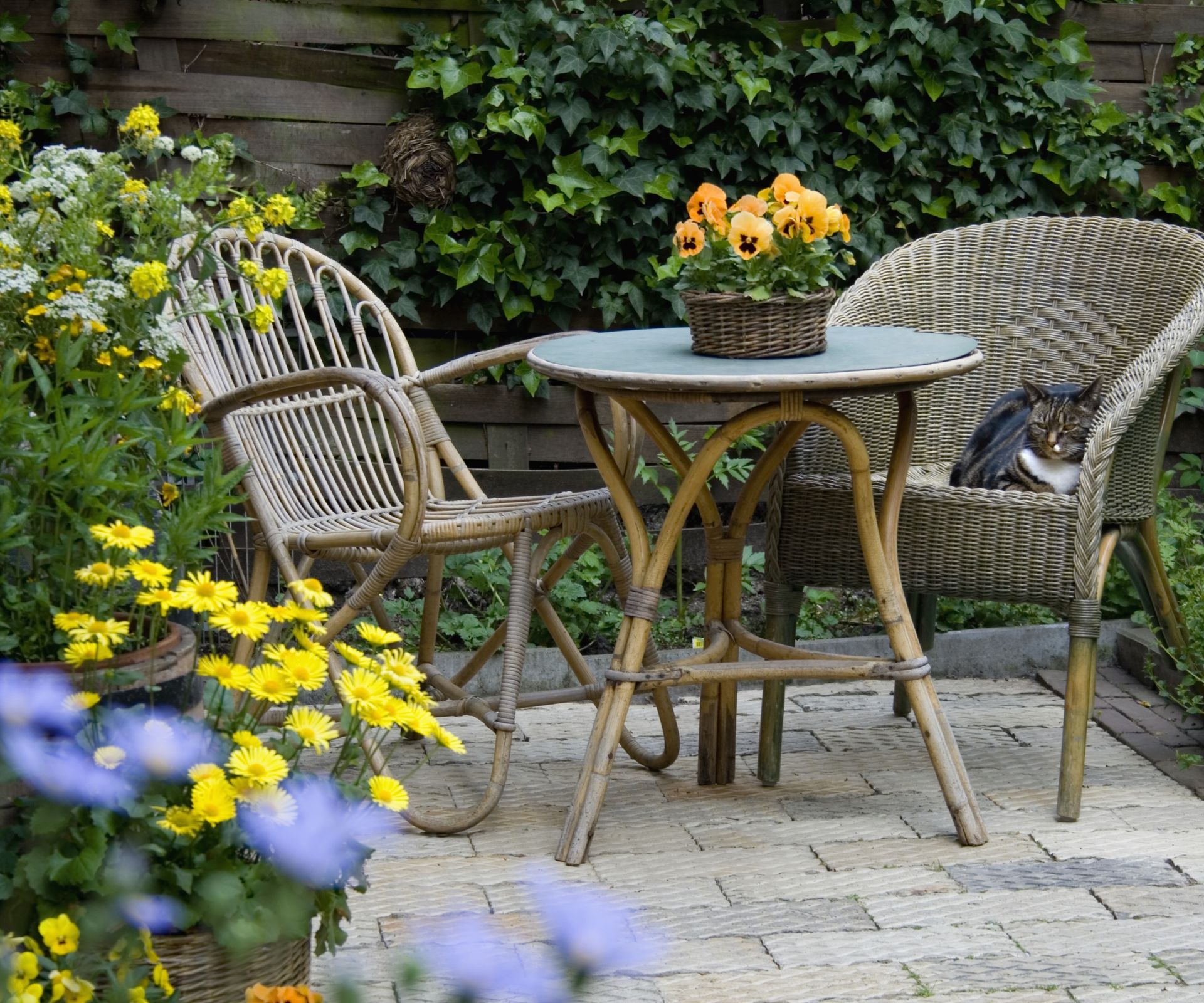 Small backyard layout ideas: 9 inspiring designs | Homes and Gardens