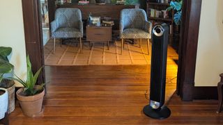 Air circulator vs fan: what's the difference, and which one should you ...