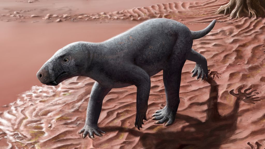 270 million-year-old saber-toothed predator from 'ghost' lineage looked ...