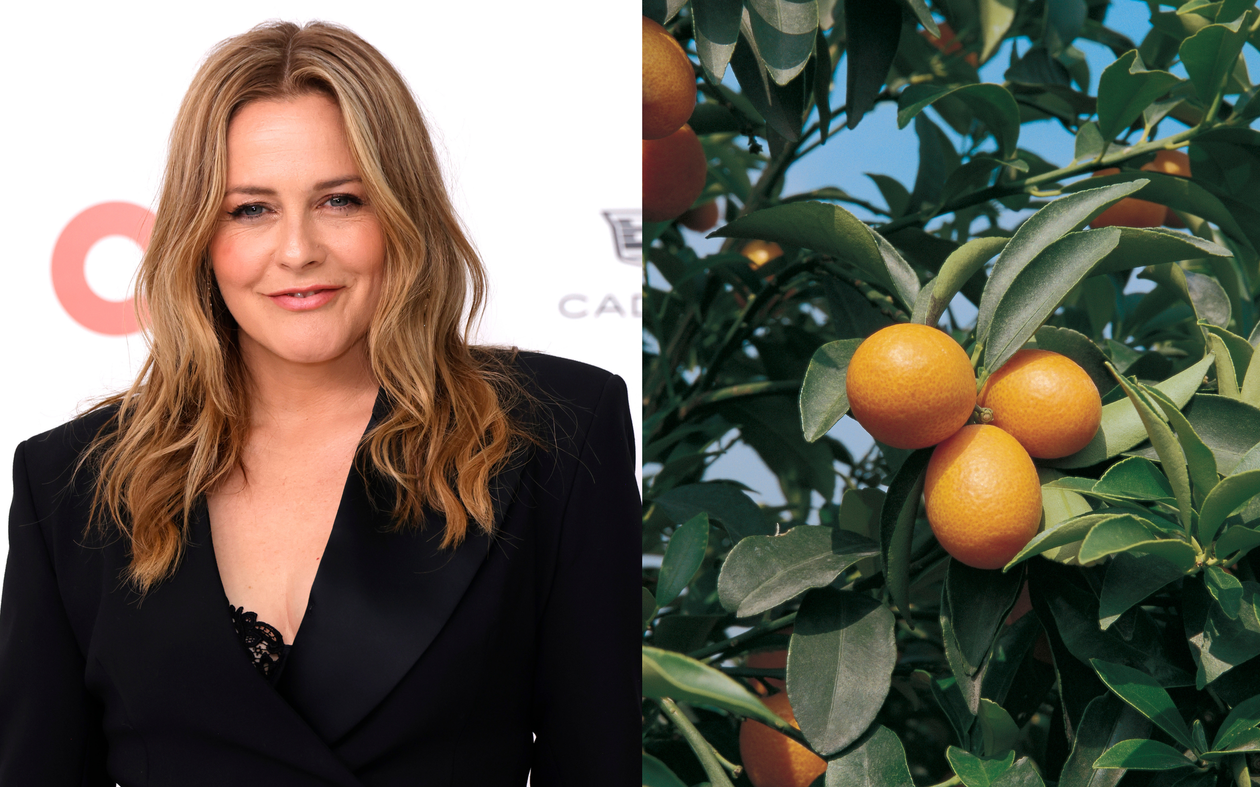 Alicia Silverstone's Fruit Tree Has Bountiful Summer Harvests | Livingetc