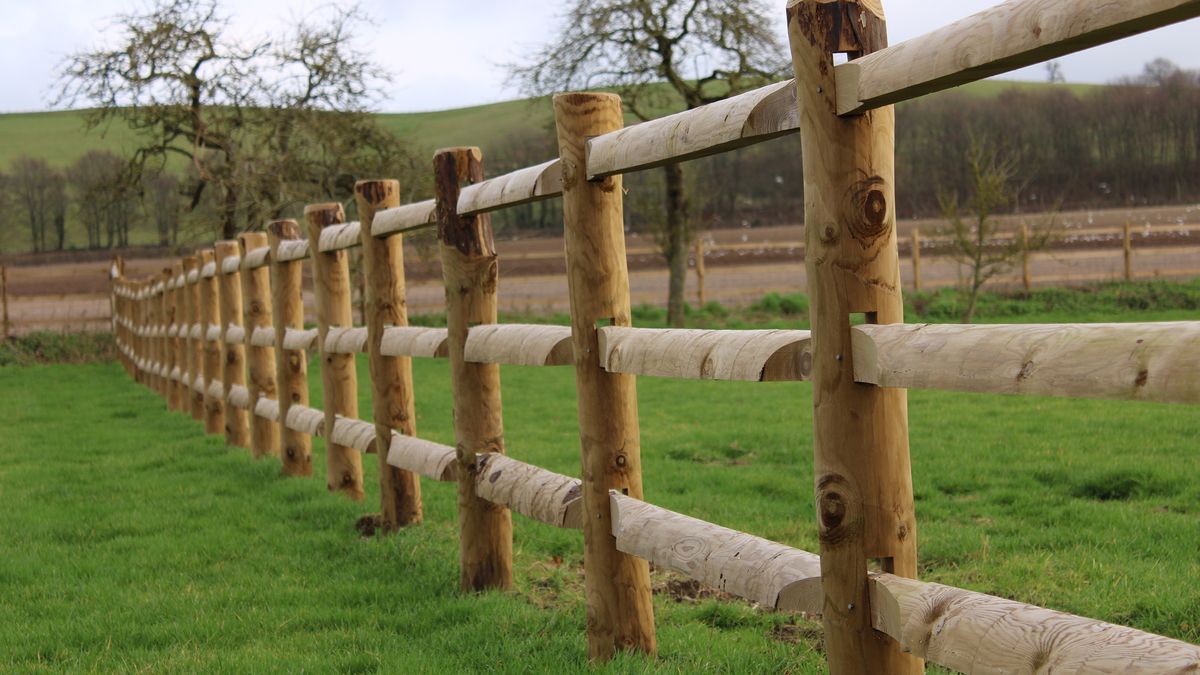 Cheap Fence Ideas: Affordable Ways to Make a Garden Boundary | Homebuilding