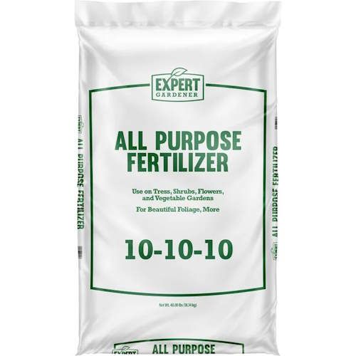 Expert tips for how and when to fertilize apple trees | Homes and Gardens